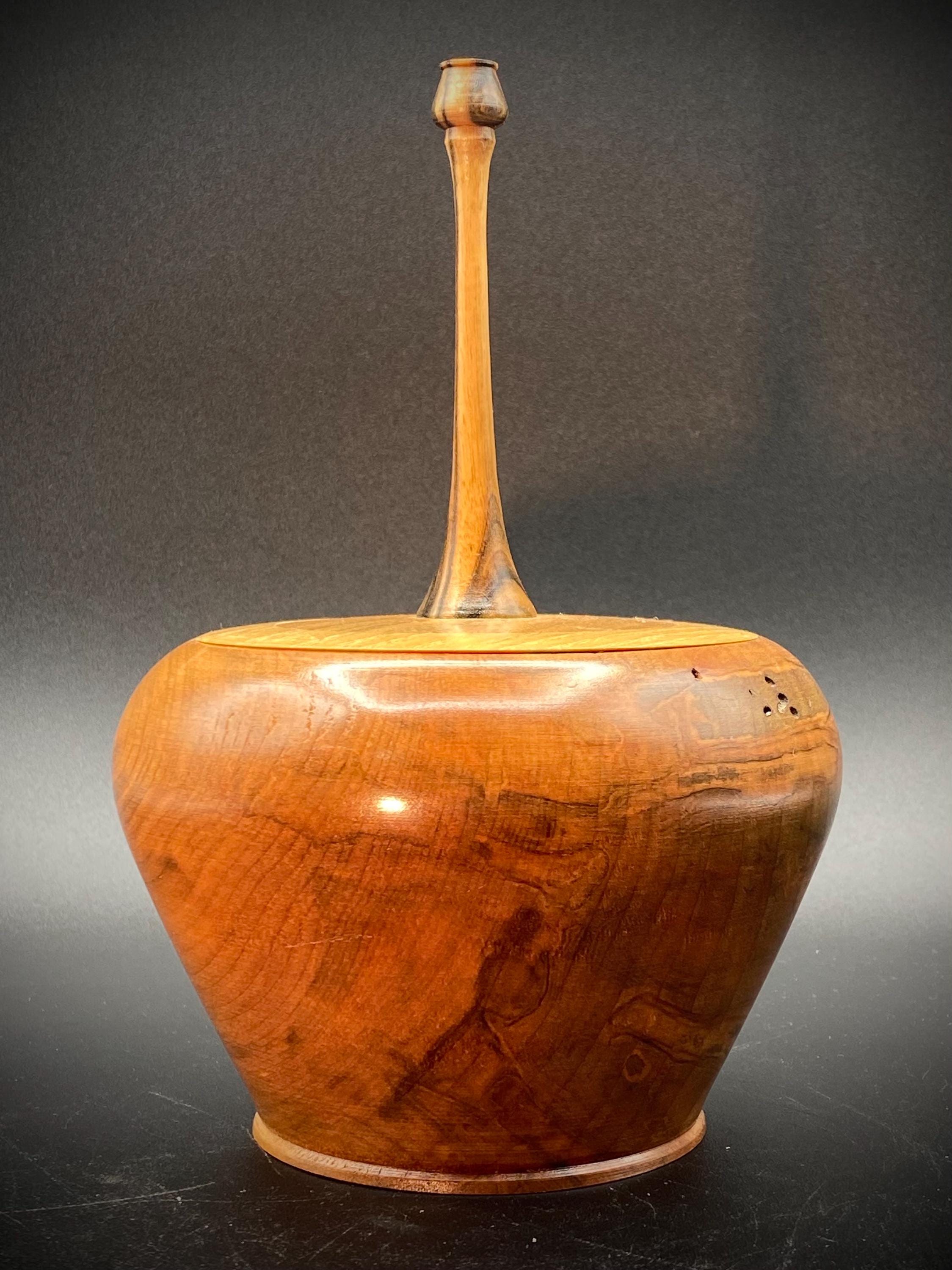 Art Form, Display, Handcrafted Wood Turned Hollow Form of Ambrosia ...
