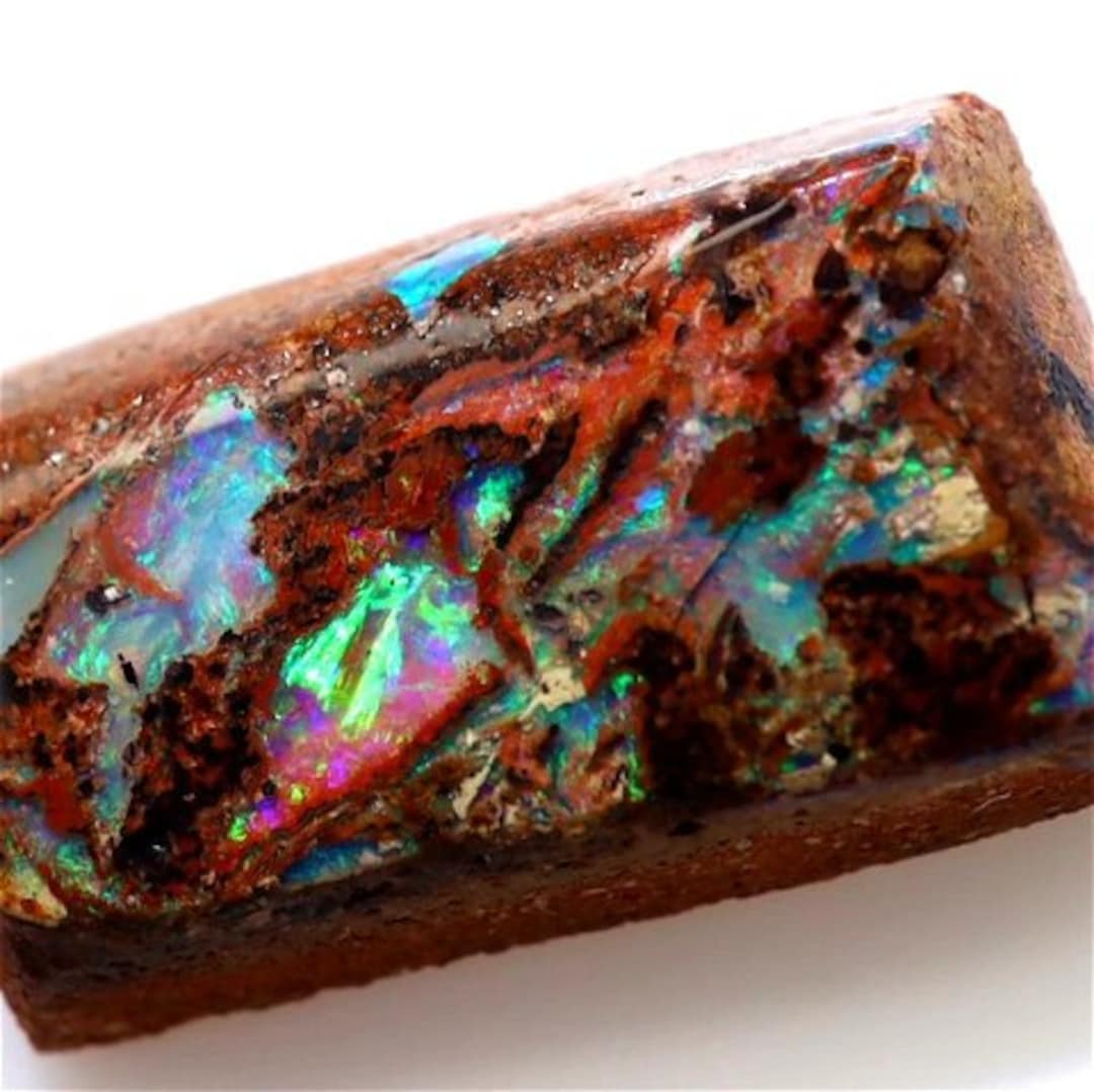 8.72 Carats Jundah Wood Fossil Rub - Etsy