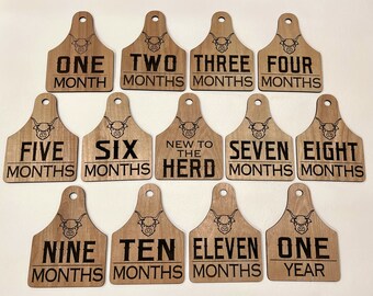 Highland Cow Baby Milestone Markers, New to the Herd Baby Stats Tags ...