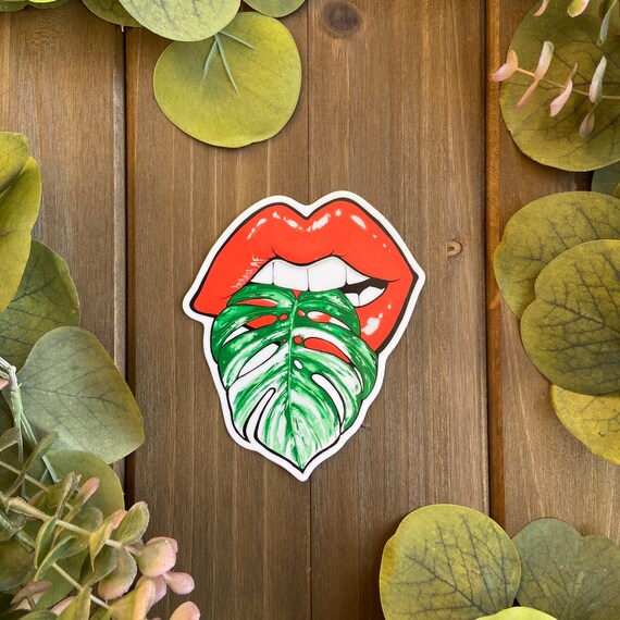Monstera Deliciosa Sticker Albo Monstera Sticker Variegate - Etsy