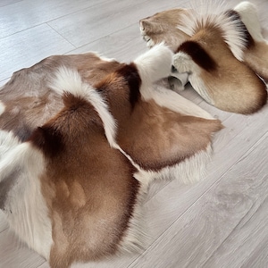 Set of 2 Genuine Springbok Fur Pelts, Natural Animal Hide Rugs - Etsy