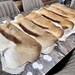 Springbok Fur Deer Skin Genuine Natural Springbok Pelt Real Springbok ...