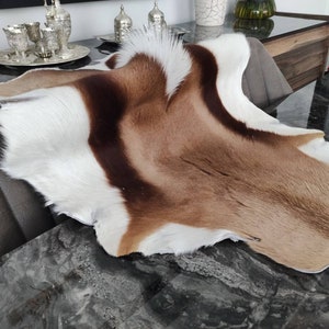 Genuine Springbok Fur Hide: Natural Gazelle Skin Rug (85cm X 60cm) - Etsy