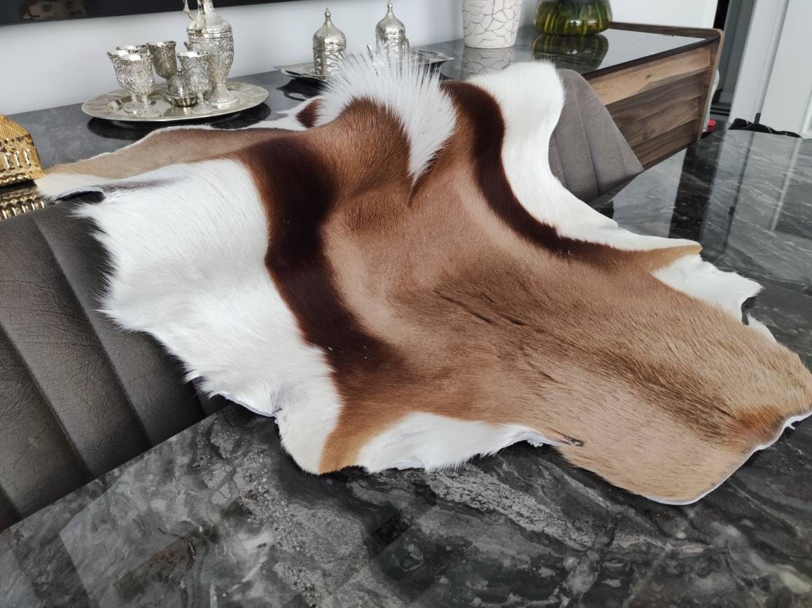 Genuine Springbok Fur Hide: Natural Gazelle Skin Rug (85cm X 60cm) - Etsy