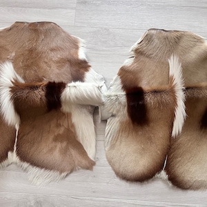 Set of 2 Genuine Springbok Fur Pelts, Natural Animal Hide Rugs - Etsy