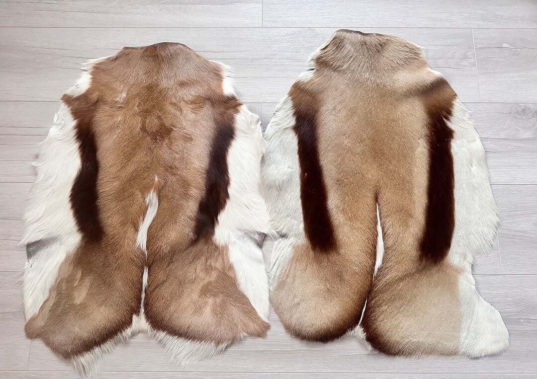 Set of 2.springbok Fur Deer Skin Genuine Natural Springbok Pelt Real ...