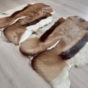 Set of 2.springbok Fur Deer Skin Genuine Natural Springbok Pelt Real ...