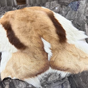 Springbok Fur Deer Skin Genuine Natural Springbok Pelt Real Springbok ...