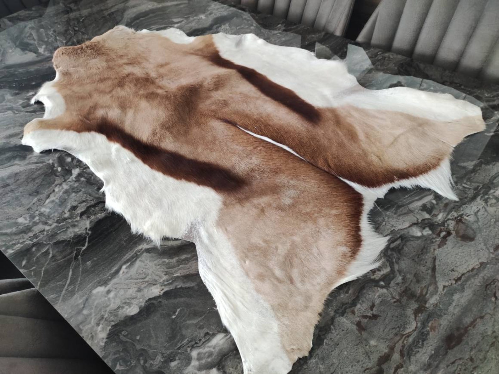 Genuine Springbok Fur Hide: Natural Gazelle Skin Rug (85cm X 60cm) - Etsy