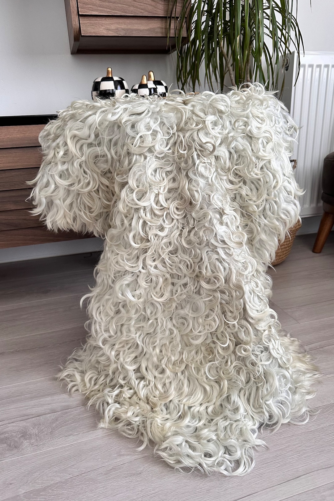 Gotland Sheepskin.curly Sheepskin Natural Tanned Handmade Sheepskin ...