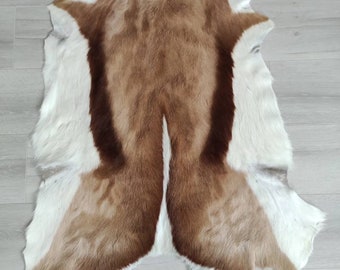 Real Springbok Rug - Etsy