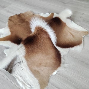 Springbok Fur Deer Skin Genuine Natural Springbok Pelt Real Springbok ...