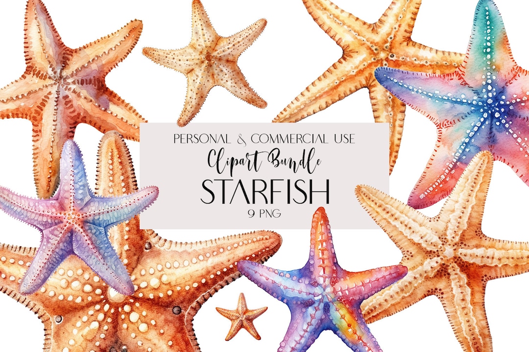 Commercial Use Starfish Clipart Star Transparent PNG Sea Inhabitants ...