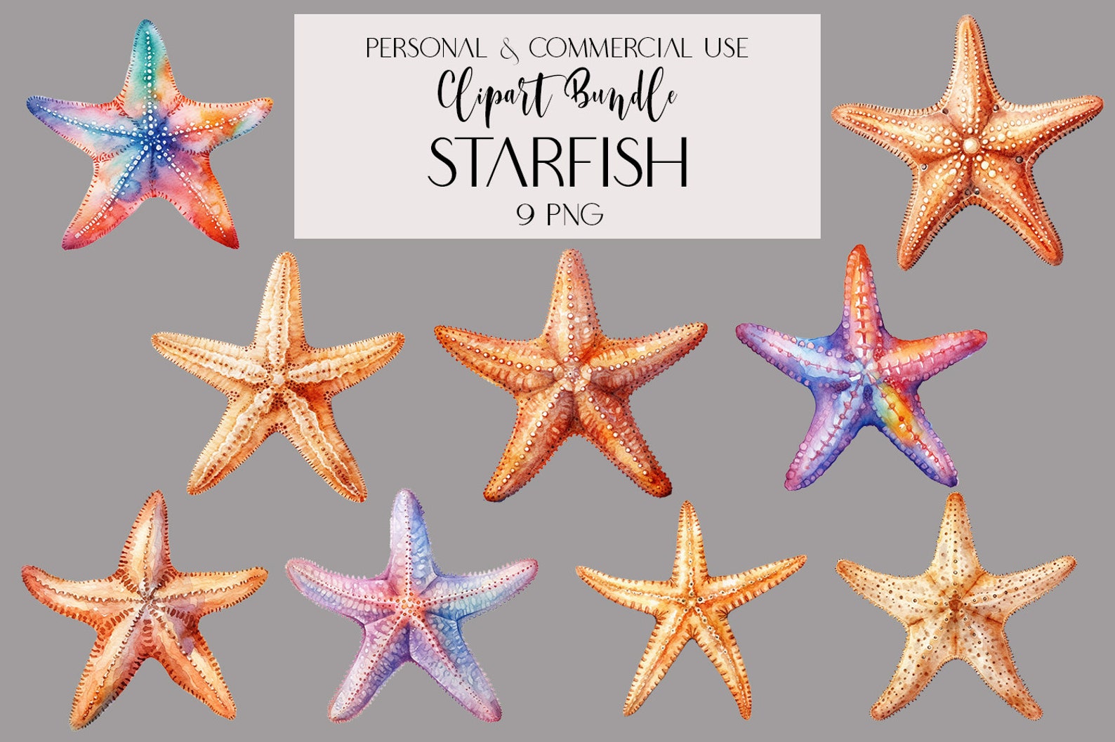 Commercial Use Starfish Clipart Star Transparent PNG Sea Inhabitants ...