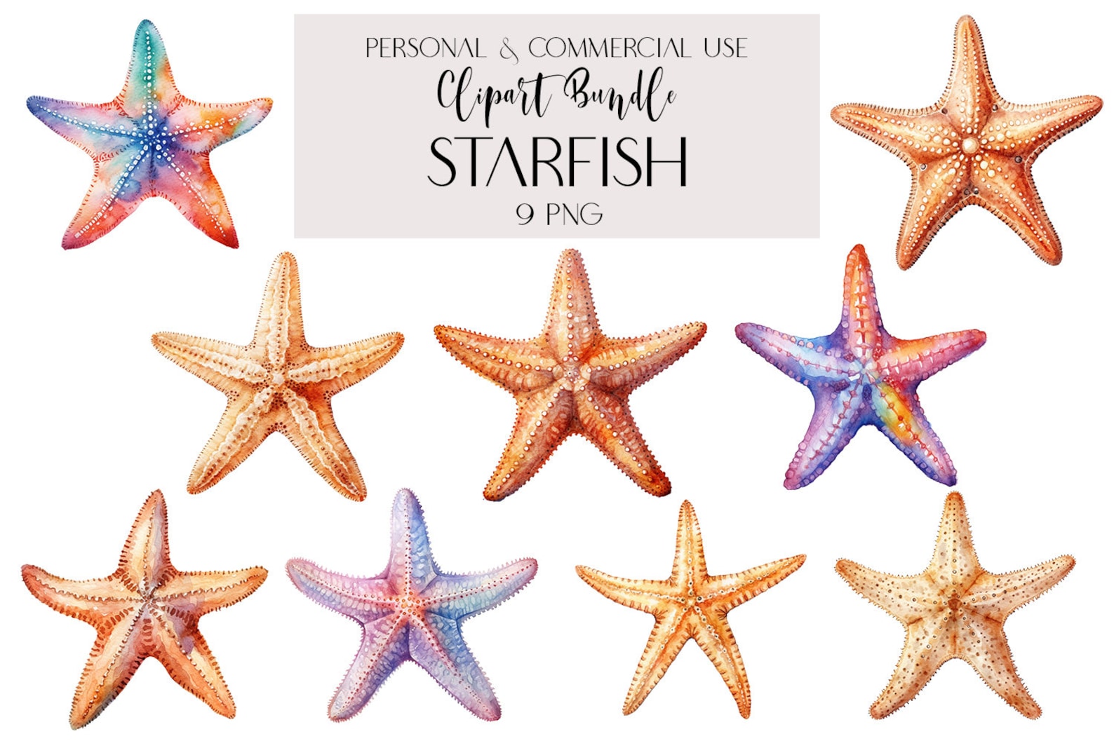 Commercial Use Starfish Clipart Star Transparent PNG Sea Inhabitants ...