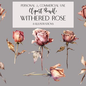Commercial Use Withered Rose Png Dried Flowers PNG Autumn Dry Twig ...