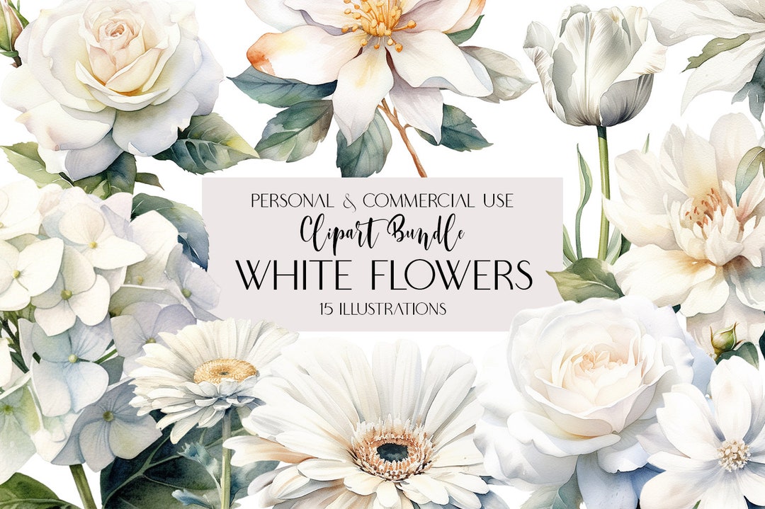 White Wedding Flower PNG Clipart: Rose, Hydrangea, Tulip (digital ...