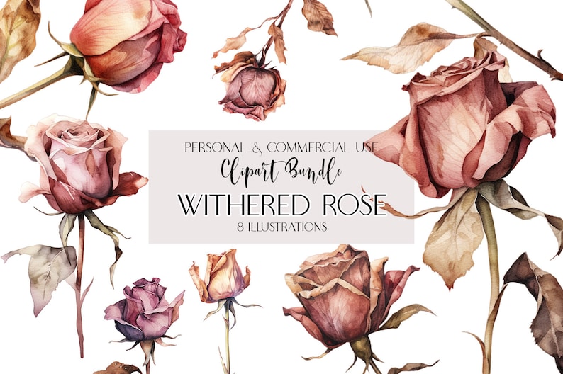 Commercial Use Withered Rose Png Dried Flowers PNG Autumn Dry Twig ...