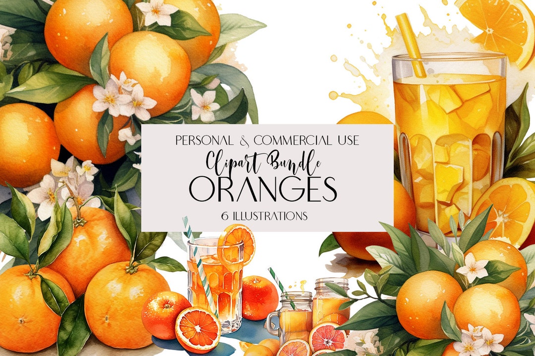 Commercial Use Oranges Clipart PNG Tropical Summer Drink Citrus Fruit ...