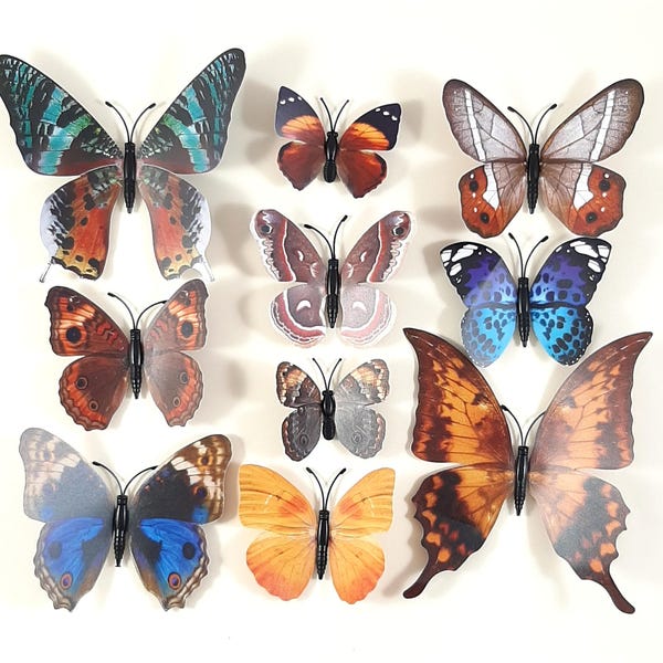 Realistic Butterfly - Etsy