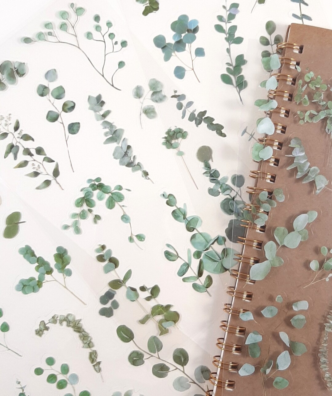 Eucalyptus Stickers, Eucalyptus Leaves Sticker Sheet, Greenery Foliage ...