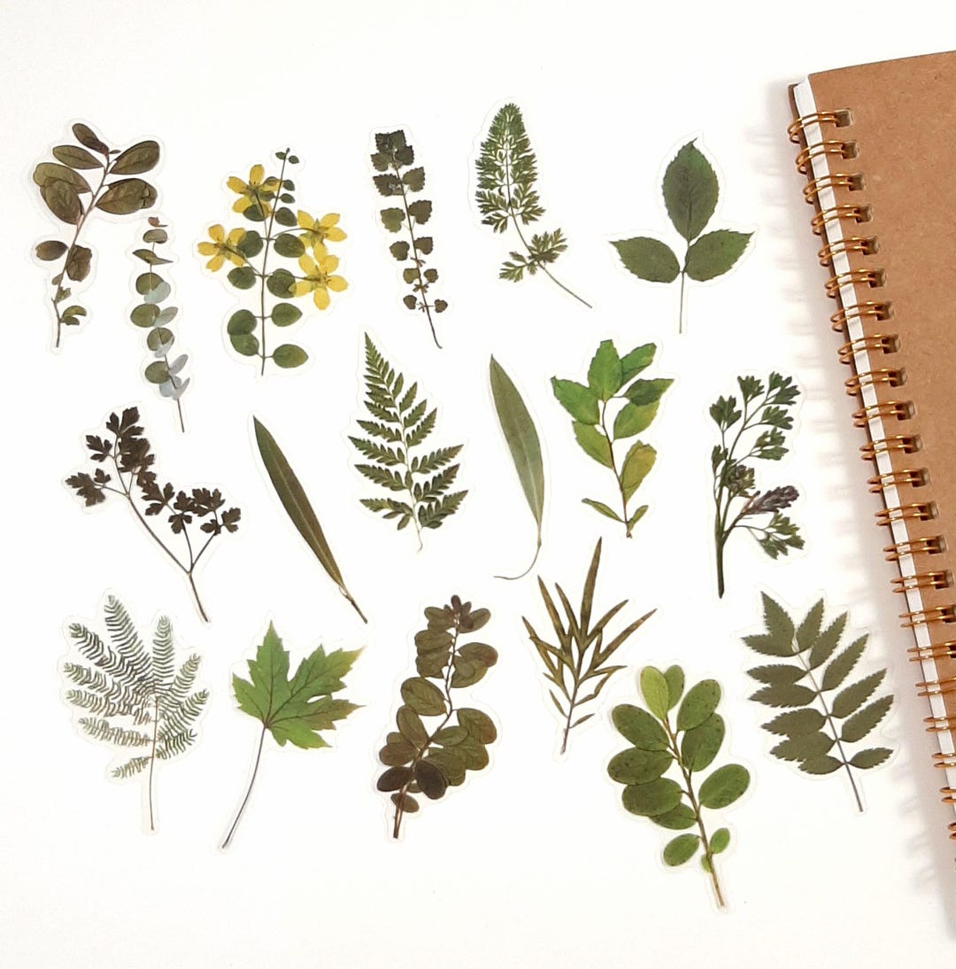 Green Leaf Stickers, Mixed Green Leaves Stickers, Foliage Stickers ...