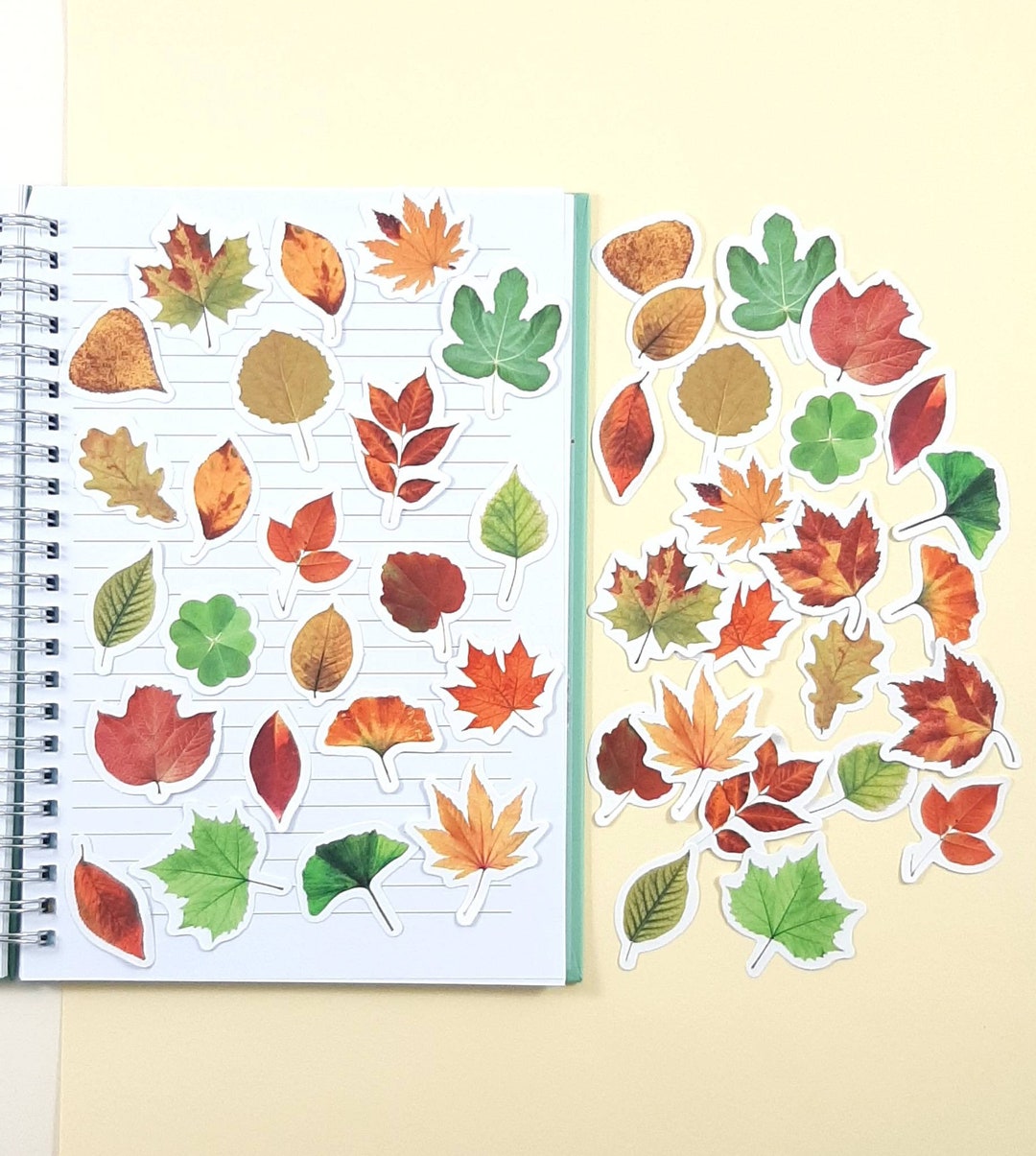 Autumn Leaves Sticker Set, Fall Leaf Stickers, Nature Journal, Planner ...