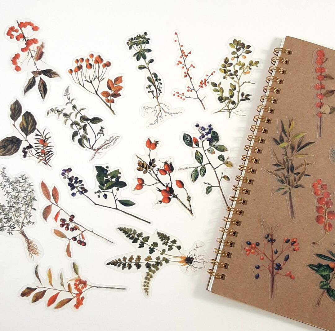 Autumn Leaves and Berries Stickers, Fall Foliage Stickers, Autumn ...