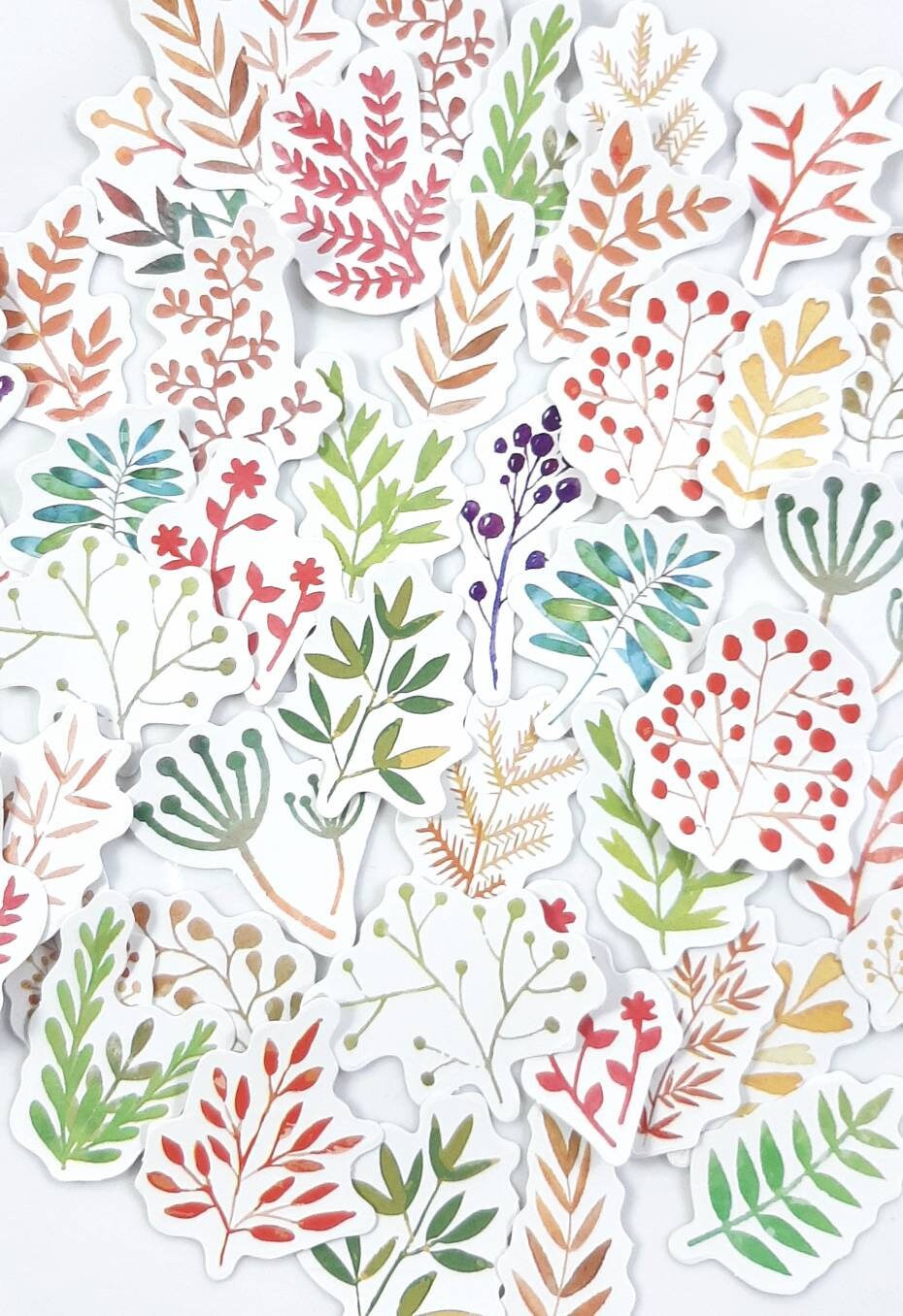 Colourful Leaves Sticker Set Leaf Stickers Journal Stickers - Etsy