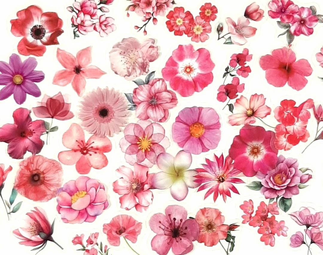 Pink Floral Stickers, Pink Flower Sticker, Wildflower Stickers, Floral ...