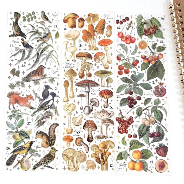 Nature Stickers - Etsy