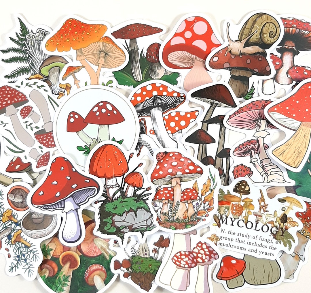 Mushroom Stickers, Toadstool Fungi Stickers, Nature Journal and Planner ...
