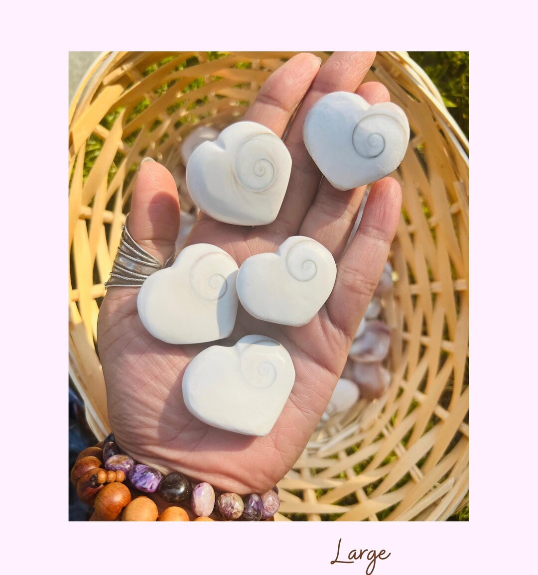Shiva Shell Heart: Gomti Chakra, Pacific Cat's Eye Fossil - Etsy