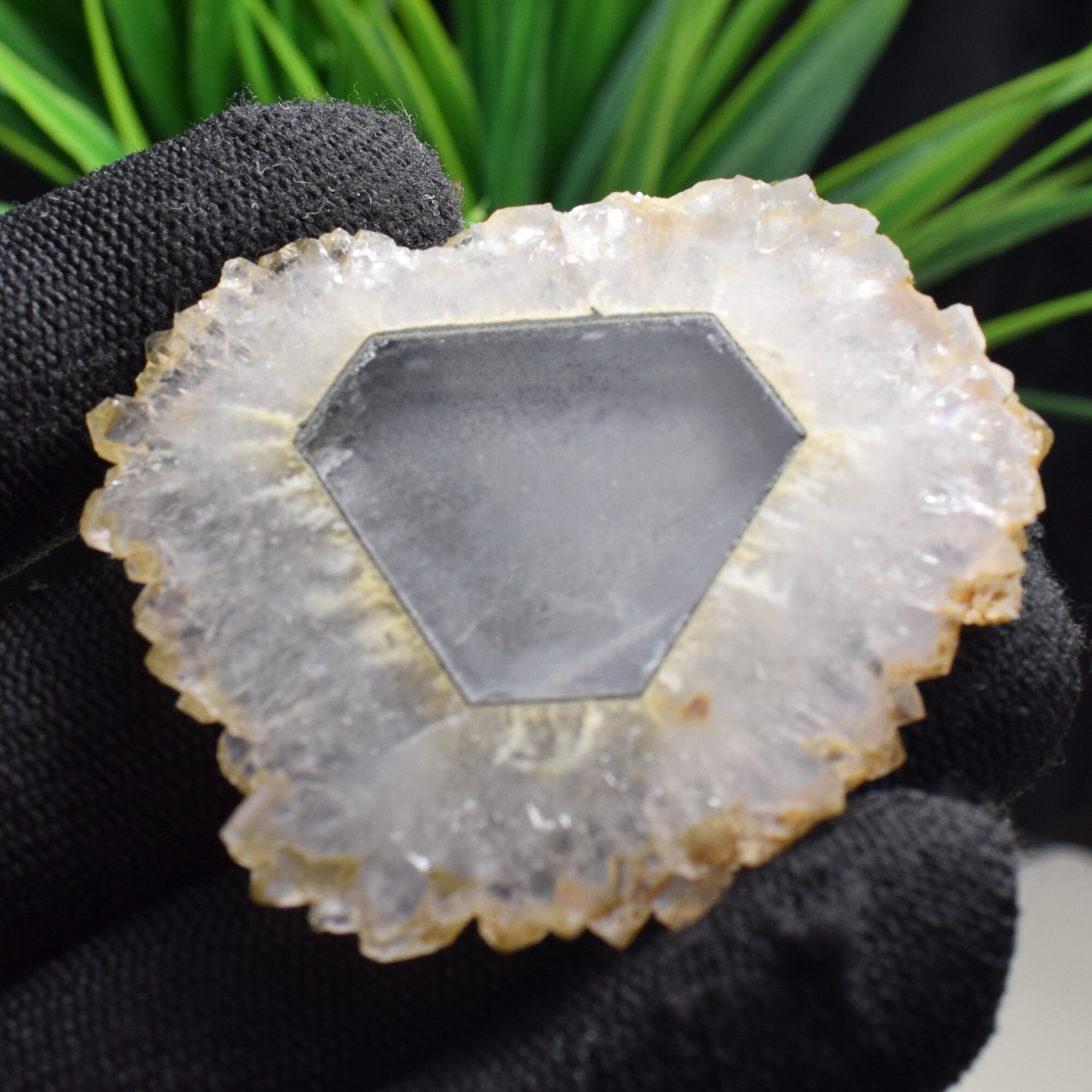 Natural Trapiche Quartz CRYSTAL Slice Cabochon Pendant | Etsy