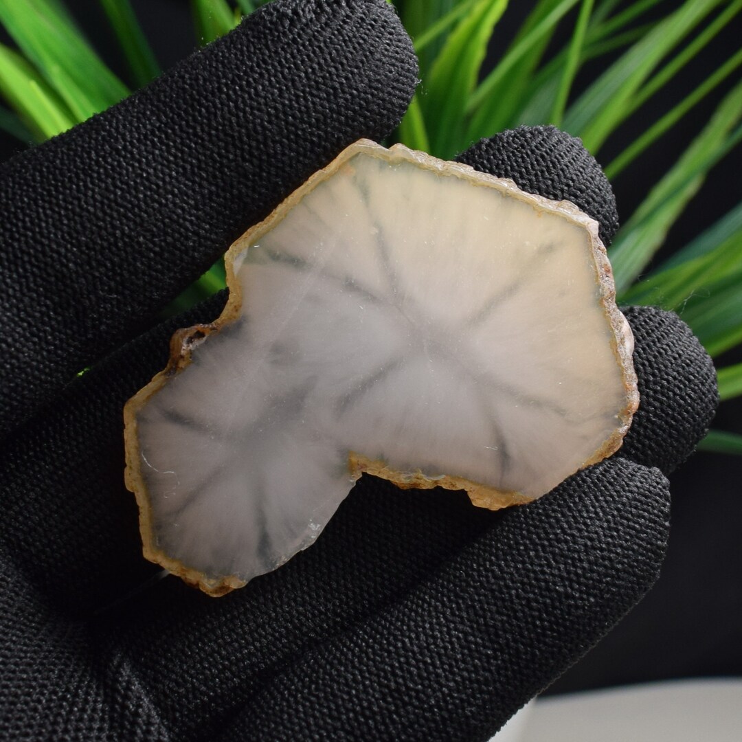 Natural Double Trapiche Quartz CRYSTAL Slice Cabochon Pendant Gemstone ...