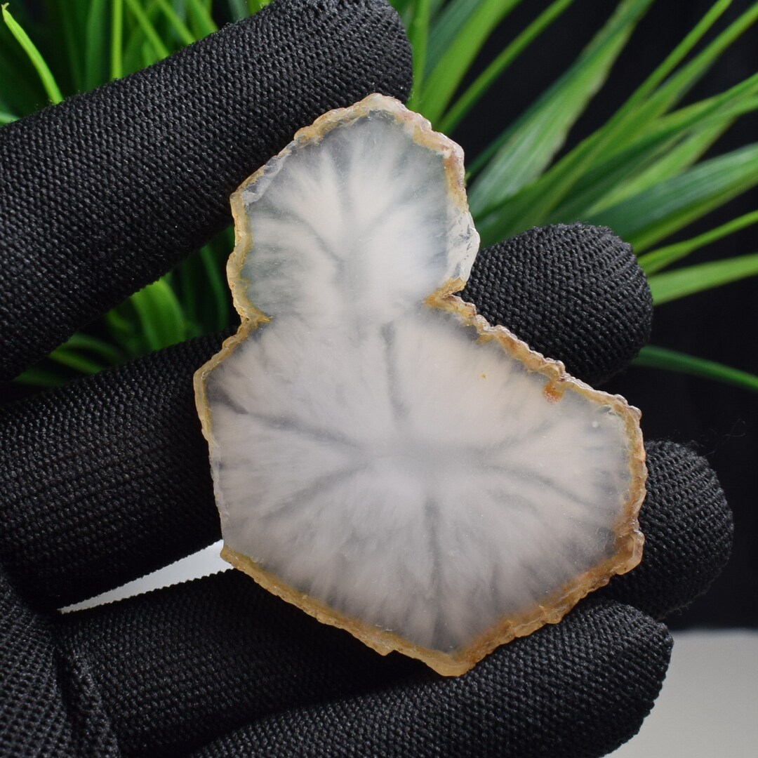 Natural Double Trapiche Quartz CRYSTAL Slice Cabochon Pendant Gemstone ...