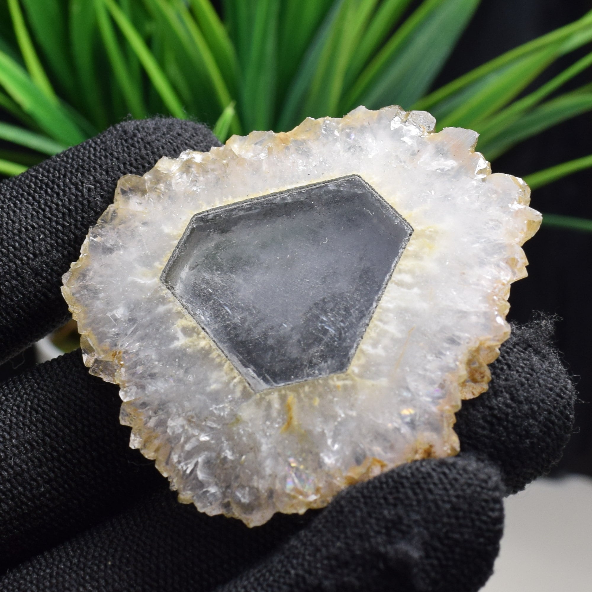 Natural Trapiche Quartz CRYSTAL Slice Cabochon Pendant - Etsy