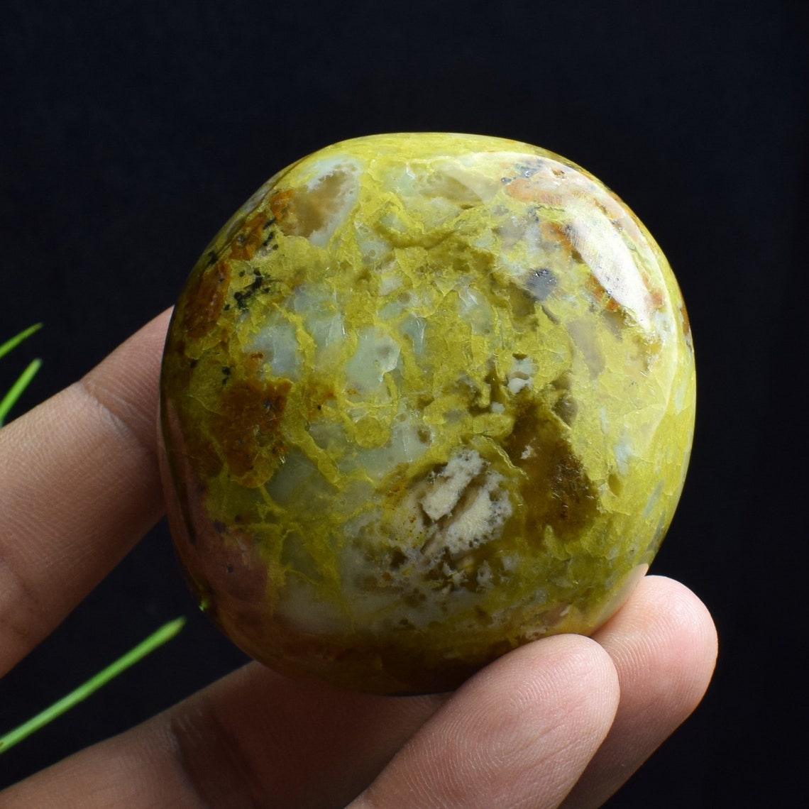 Green Yellow Opal Jasper Jade Palm Stonegeode Crystalrock - Etsy