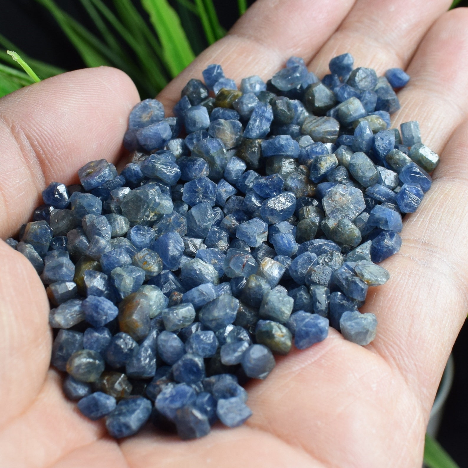 50g Tiny Rare Natural Unheated Blue Corundum Ruby Crystal Rough ...