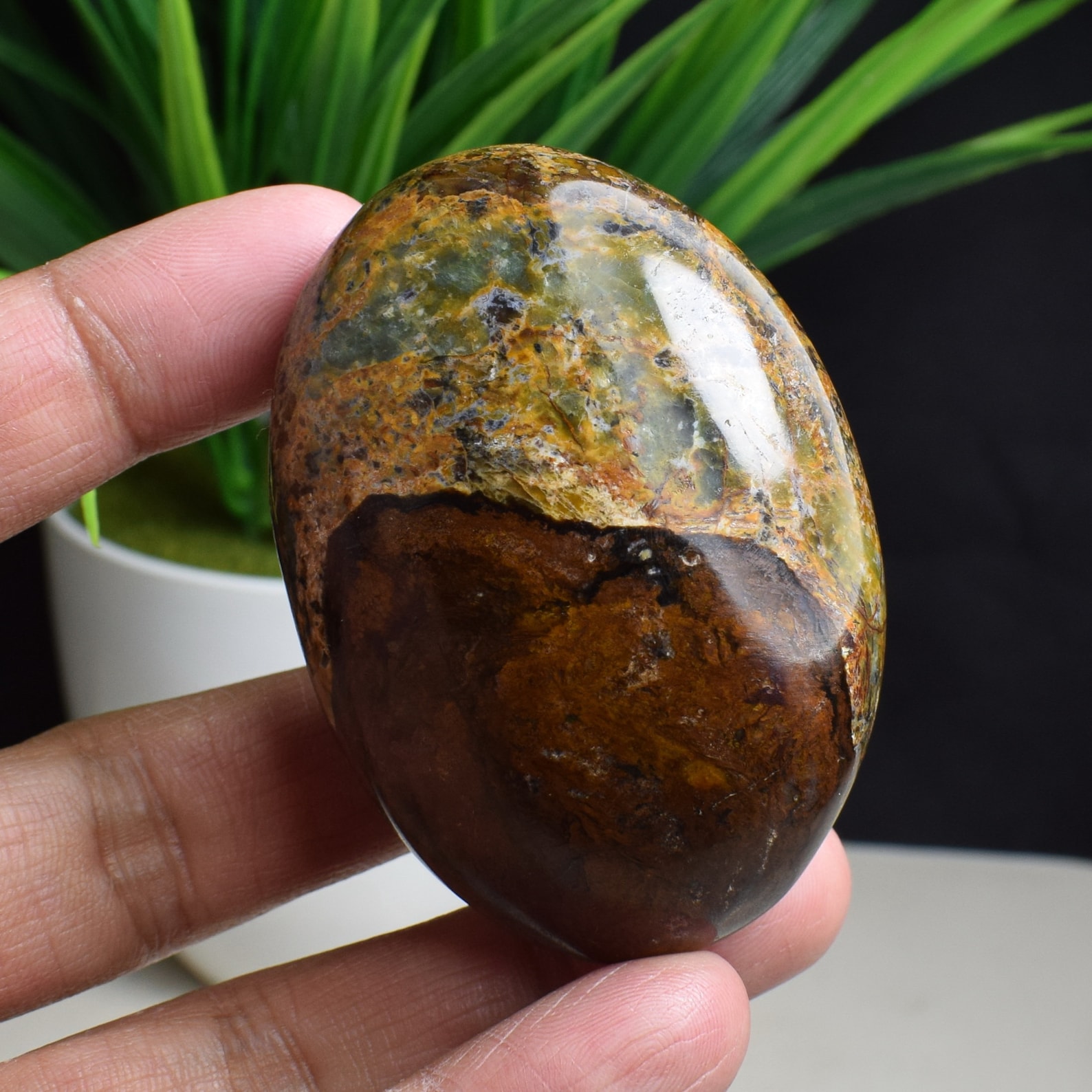 Green Yellow Opal Jasper Jade Palm Stonegeode Crystalrock - Etsy