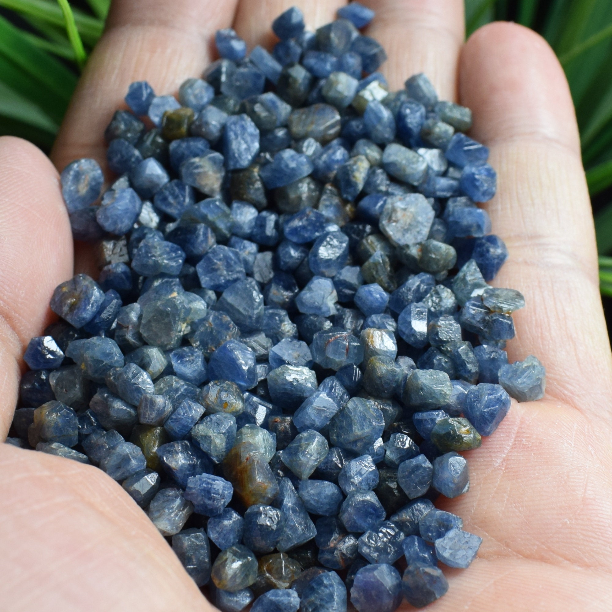 50g Tiny Rare Natural Unheated Blue Corundum Ruby Crystal Rough ...