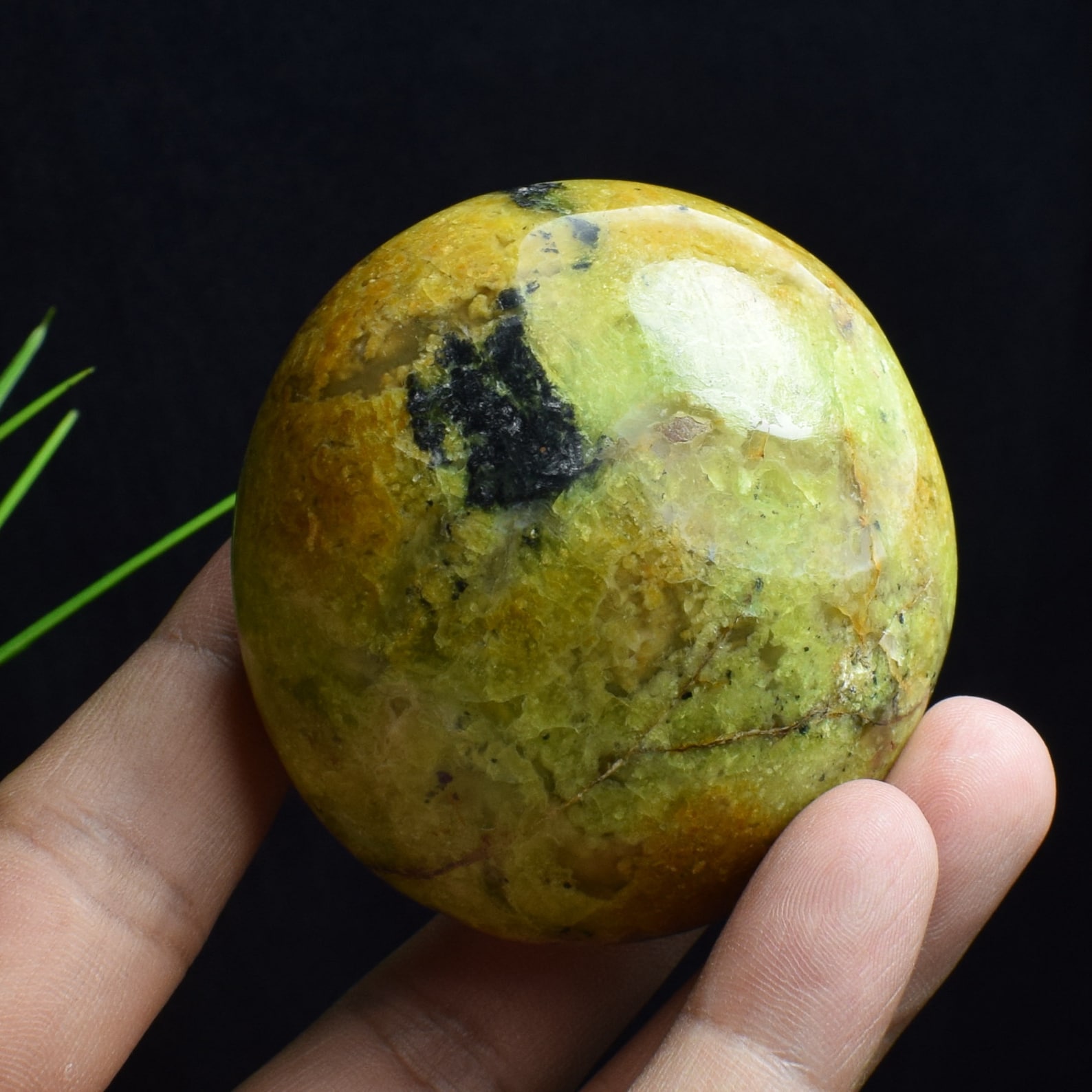 Green Yellow Opal Jasper Jade Palm StoneGeode CrystalRock | Etsy