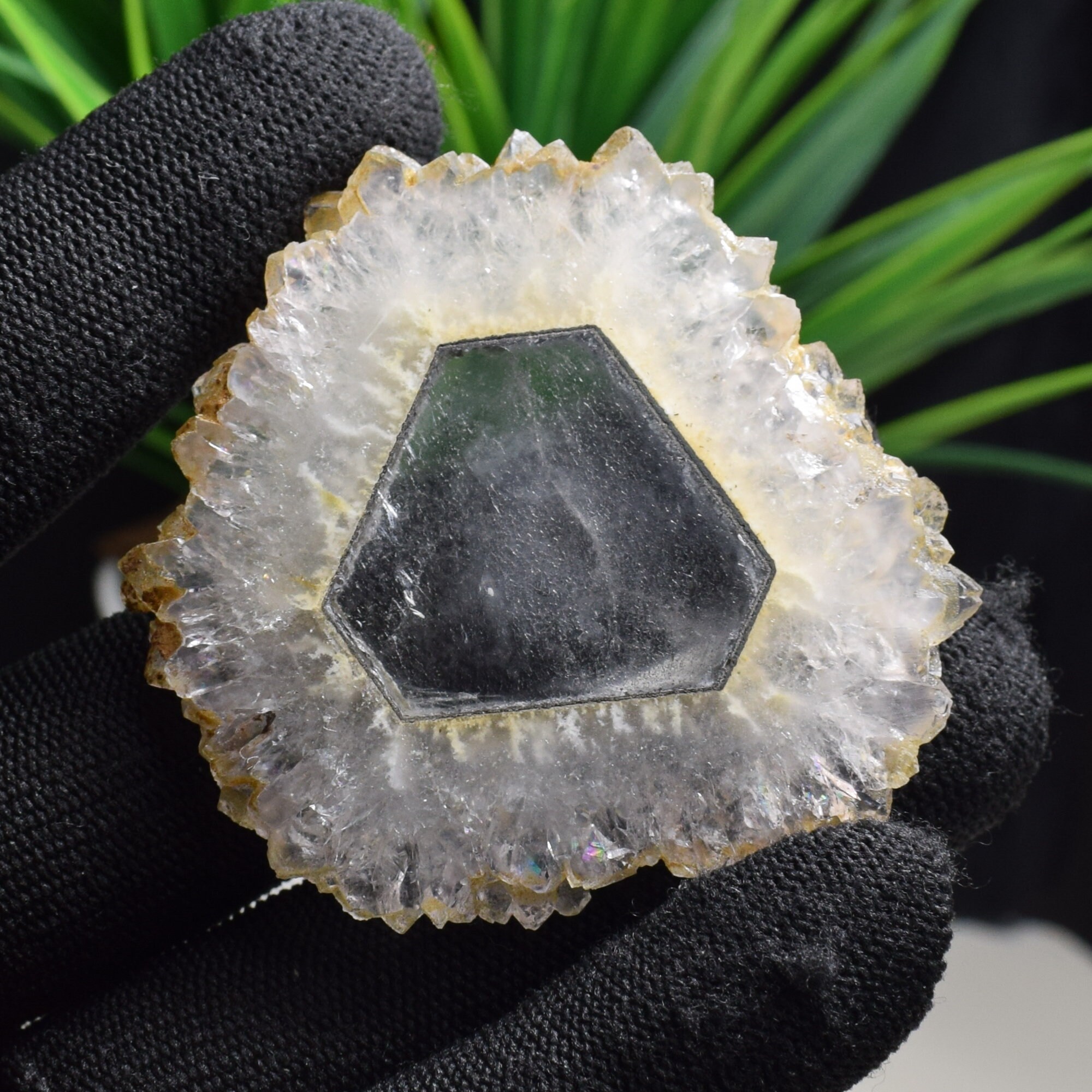 Natural Trapiche Quartz CRYSTAL Slice Cabochon Pendant | Etsy