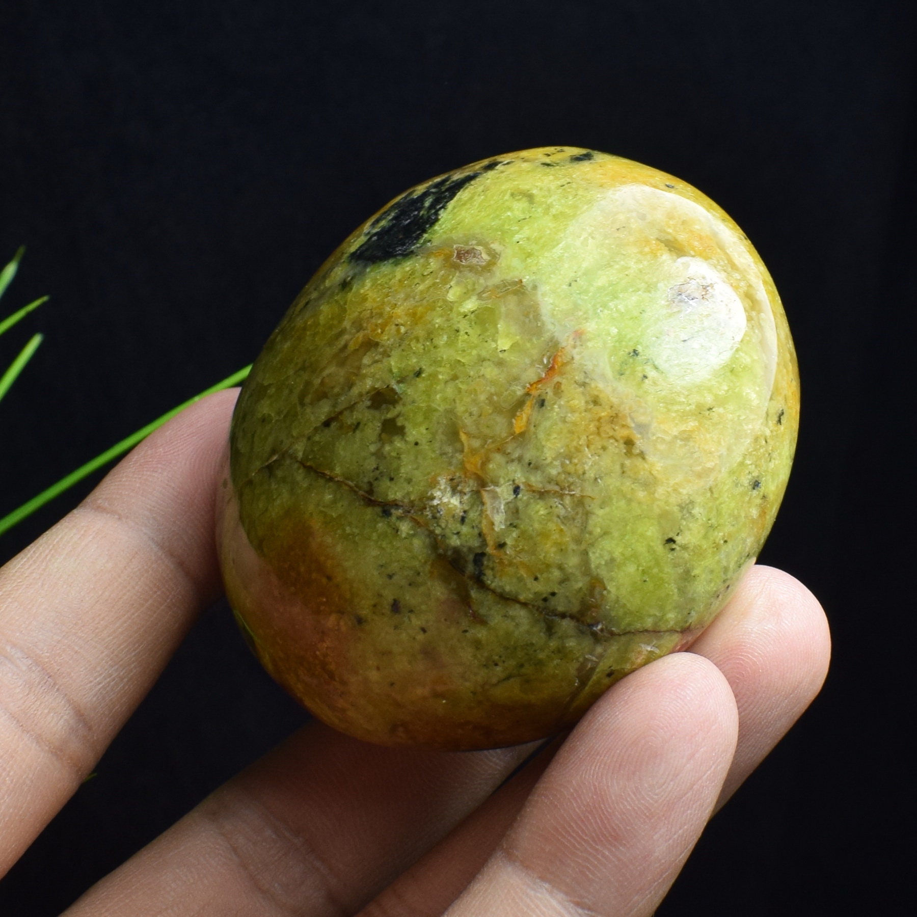 Green Yellow Opal Jasper Jade Palm Stone,geode Crystal,rock Collection ...