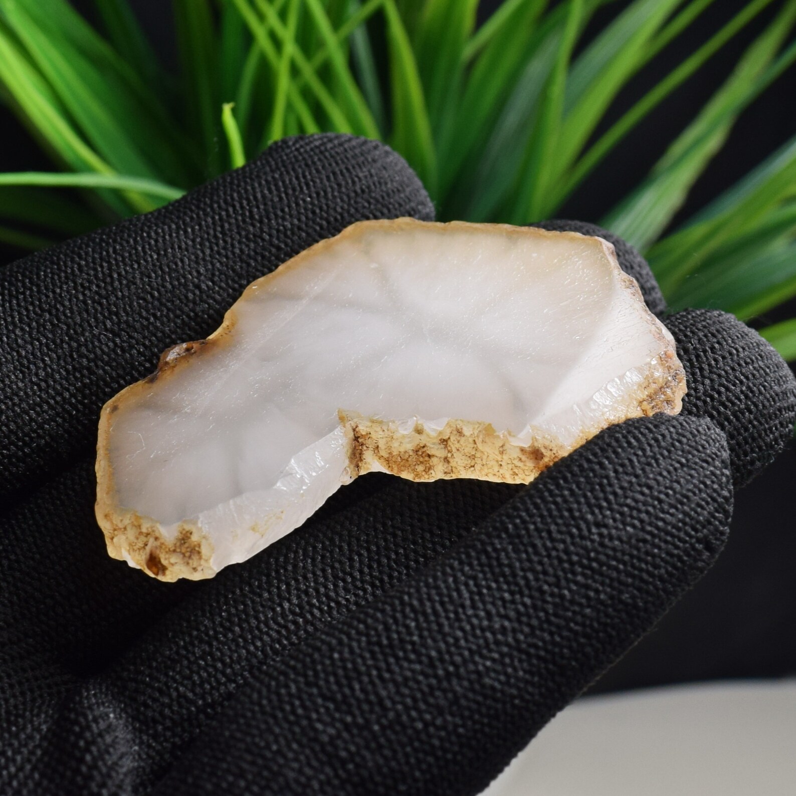 Natural Double Trapiche Quartz CRYSTAL Slice Cabochon Pendant - Etsy
