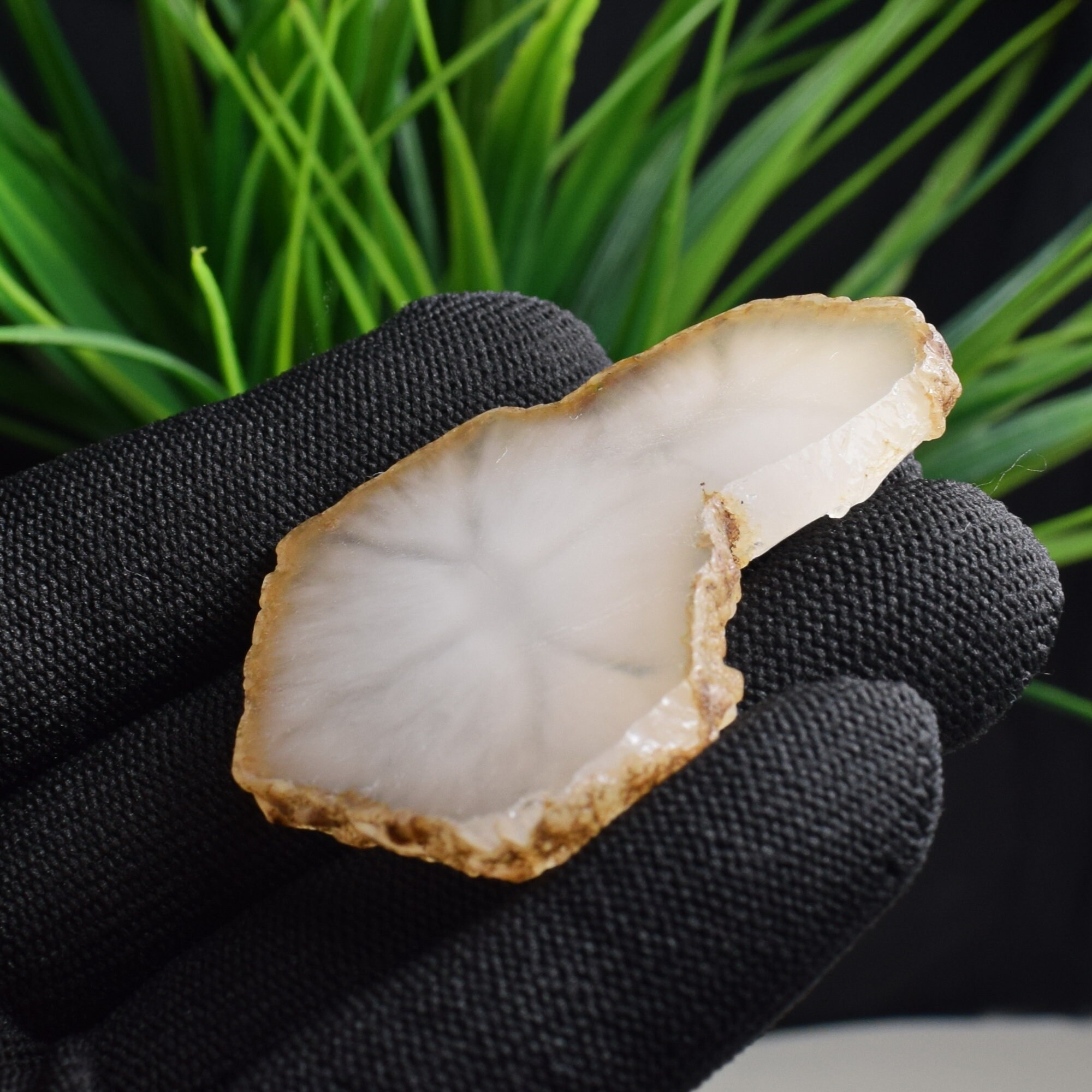 Natural Double Trapiche Quartz CRYSTAL Slice Cabochon Pendant - Etsy