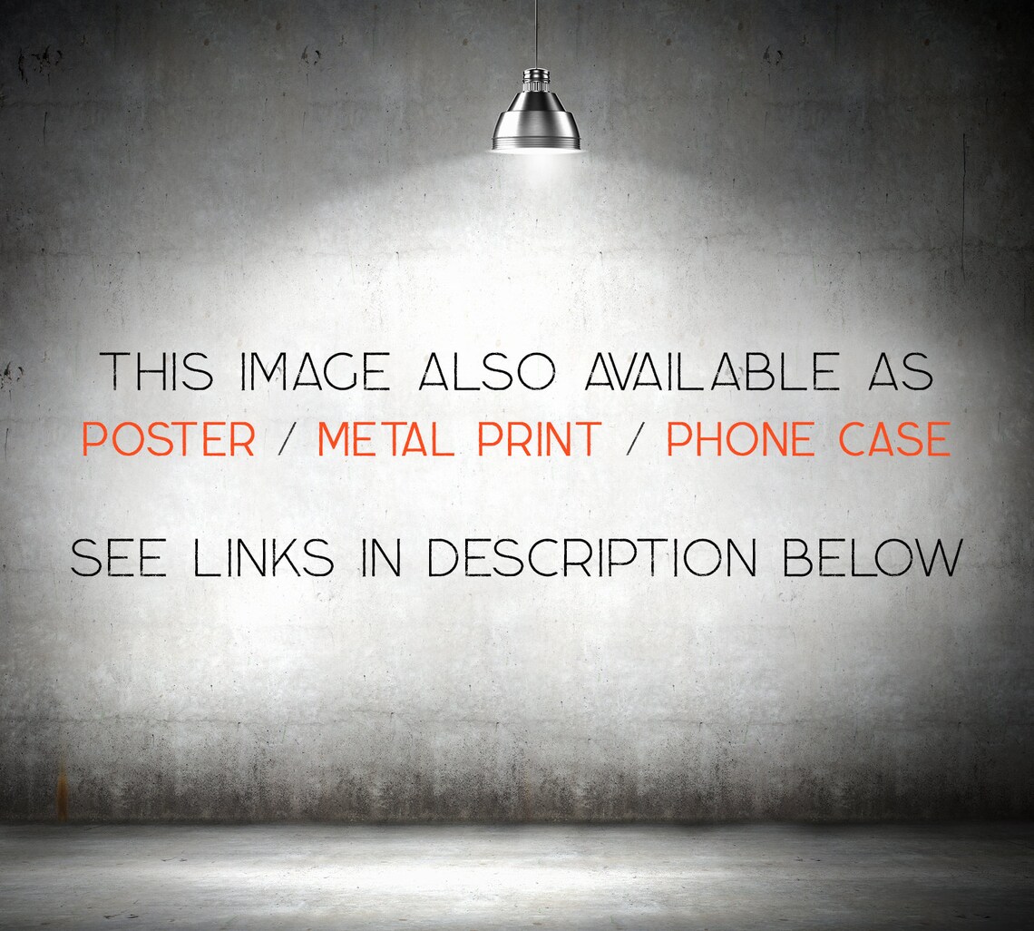 Dryden Mask Canvas Print Montreal Canadiens Hockey Wall Art - Etsy