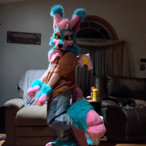 Fursuit Pink and Blue - Etsy