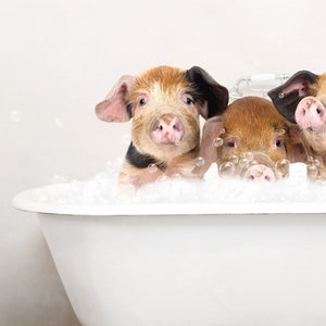Three Little Pigs in a Vintage Bathtub Rustic Bath Style - Etsy