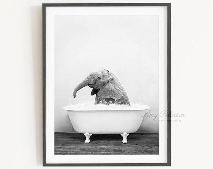 Baby Donkey Blowing Bubble Gum Donkey Print Farm Animal Art - Etsy